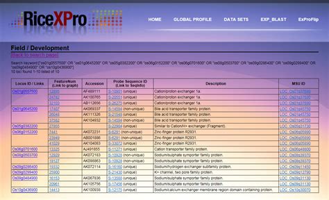 How To Find The Genes For Agilent Rice Microarray Probes E G
