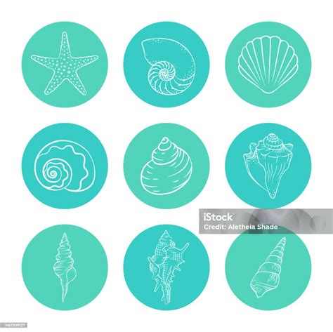조개껍데기와 불가사리 스티커 세트 손으로 그린 수생 해양 생물 그림 갑각류에 대한 스톡 벡터 아트 및 기타 이미지 갑각류 관광 리조트 껍데기 Istock
