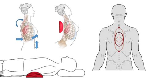 How To Release Scalene Muscle At Home