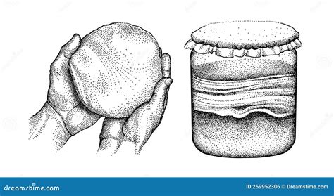 Kombucha Fermented Probiotic Homemade Tea Scoby In Human Hands