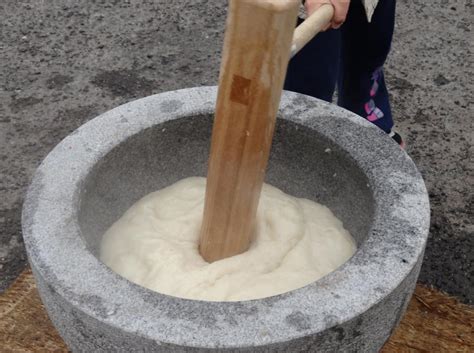 못생긴 사람을 오징어라 부르는 이유 오펀 디스커스