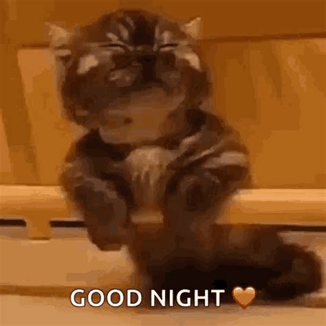 Funny Good Night Picture S Tenor