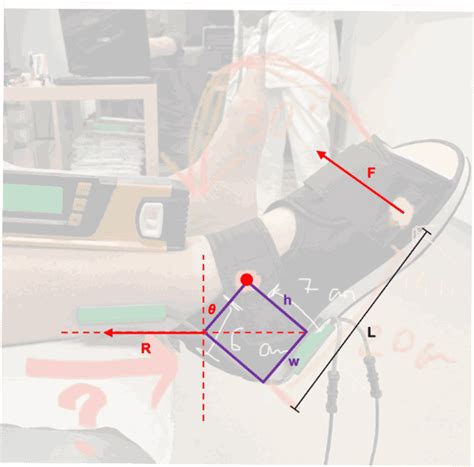 Finding An Equation For Measuring Reactive Force At The Gastrocnemius Physics Forums