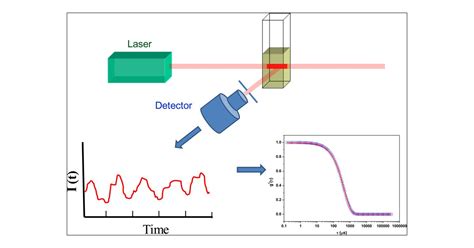 Dynamic Light Scattering Dls Profacgen