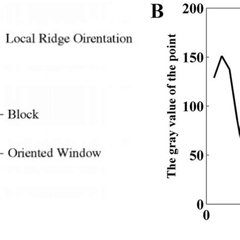 The Window Based Ridge Distance Calculation A Window In A