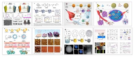 又一985高校硕士发顶刊!science,一作! 知乎 又一985高校硕士发顶刊!science,一作! 知乎