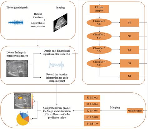 Schematic View Of The Liver Fibrosis Prediction System Download Scientific Diagram