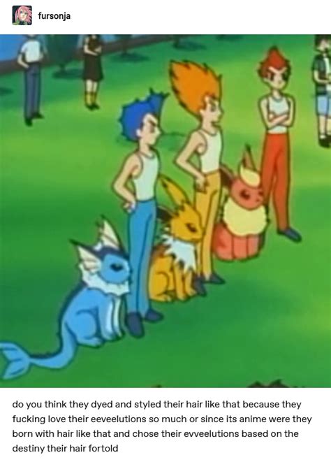 What Would The Other Eevee Brothers For The Eeveelutions That Came