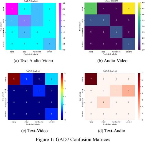 Figure 1 From Multimodal Patient Evaluation For Depression And Anxiety