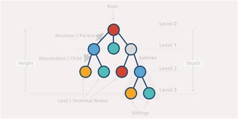 Tree Data Structures Explained With Javascript
