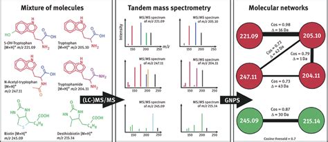 full molecular network obtained using ms ms data of geissospermum laeve