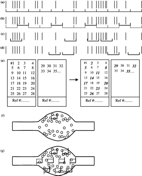 Efficiency Of Systematic Uniform Random Vs True Random Sampling Download Scientific Diagram