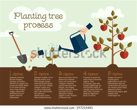 Timeline Infographic Planting Tree Process Business Stock Vector Royalty Free 197214485