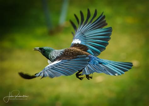 James Beeson Photography Added James Beeson Photography