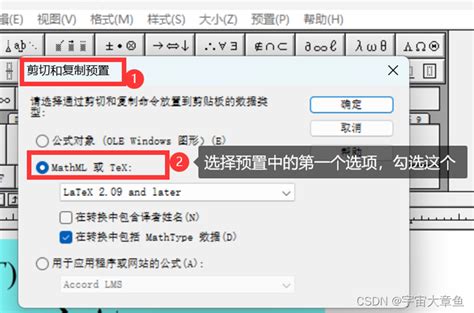mathtype公式转latex格式 mathtype 转latex csdn博客