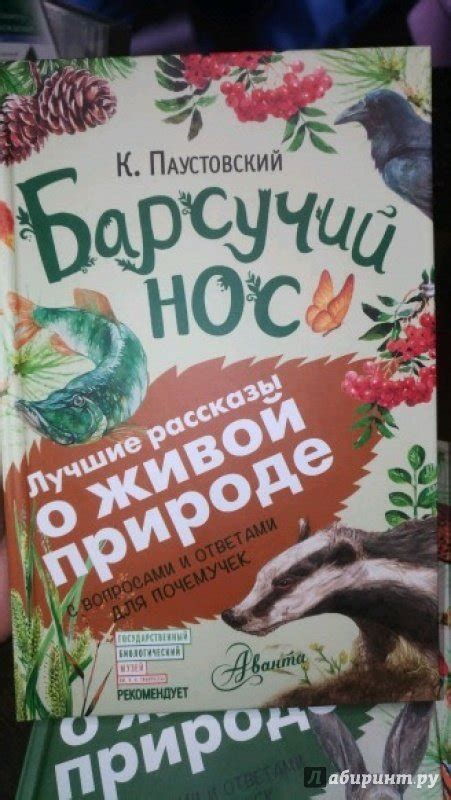 Книга: Барсучий нос - Константин Паустовский. Купить книгу, читать ...