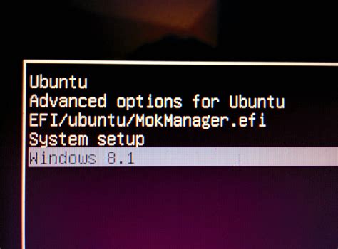 Dual Boot Win 81 And Ubuntu On Gpt Uefi Driver Technical Looking