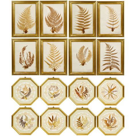 Sold At Auction Victorian Pressed Ferns