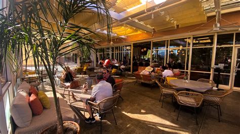 Best Cocktail Bars In Palm Springs
