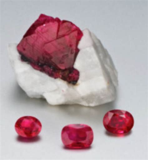 Jewel Guide Ruby Reveti Fine Jewelry