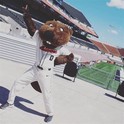 Benny The Beaver