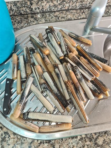 More Info Jacob Runyan And Chase Cominsky Caught Cheating At Lake Erie Walleye Trail