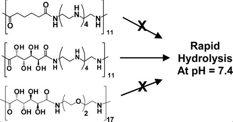 Degradation Of Polyglycoamidoamine Dna Delivery Vehicles Polyamide