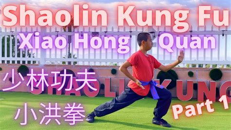 Shaolin Kung Fu Training Tutorial - Xiao Hong Quan 🤜 #小洪拳 #少林功夫 #少林小洪拳 ...