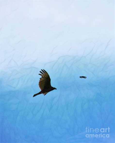 Flyby Watercolor Digital Art By Daniel Beard Pixels