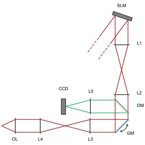 Scheme Of The Optical Setup For The Reported Experiments Not To Download Scientific Diagram