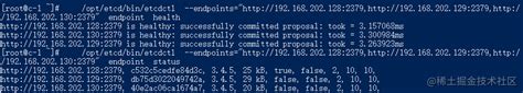 how to deploy an etcd cluster moment for technology