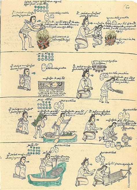 Aztec Education And Schools History Crunch History Articles