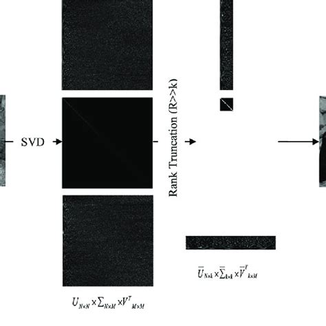 Representation Of A Compression Process Using Rank Truncation Of