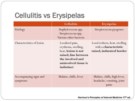 Differentials For Cellulitis At Sherry Starks Blog