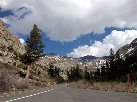 Sonora Pass In California 2024 Roveme