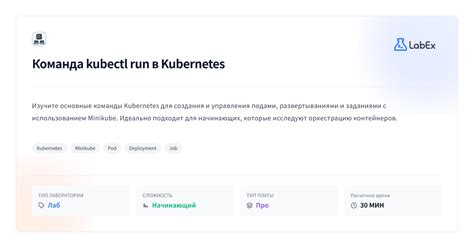 Команда Kubectl Run в Kubernetes Labex