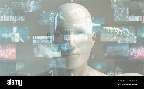 Regional Information Stock Videos And Footage Hd And 4k Video Clips Alamy