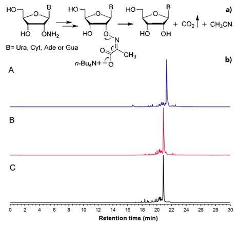Can We Improve The Purification Of Synthetic DNA And RNA Sequences