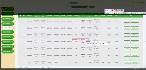 Java计算机毕业设计项目管理系统（开题报告源码论文）计算机管理系统项目设计书 Csdn博客