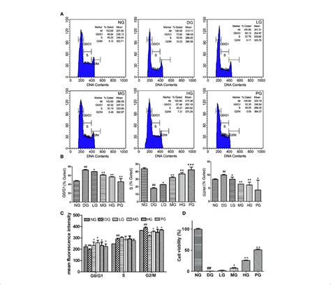 Effect Of Hyp On Cell Viability And Cell Cycle Analysis Of The