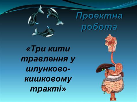 Будова шлунку презентация онлайн