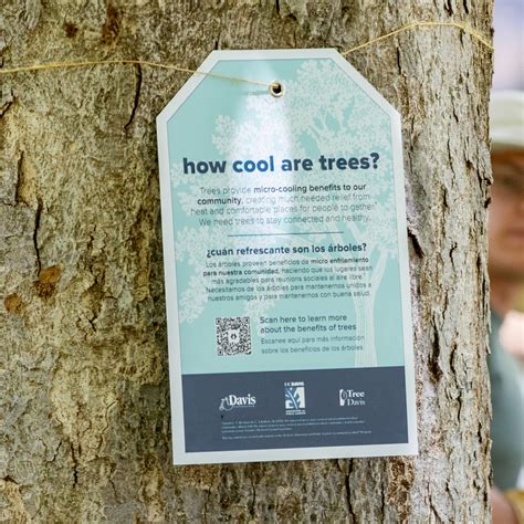 Spruced Up Tree Tags Inform And Engage The Community UC Davis Arboretum And Public Garden