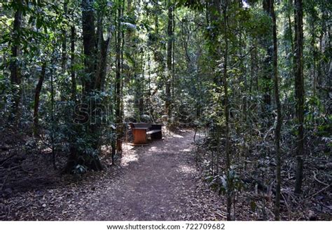 2 Imagens De Australian Frorest Imagens Fotos Stock E Vetores