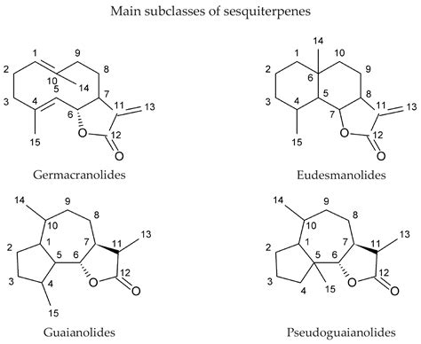 Sesquiterpene Structure