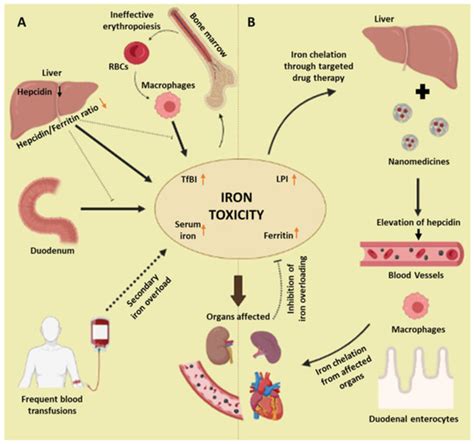 Biosensors Special Issue Smart Biosensors For Healthcare Applications And Environmental