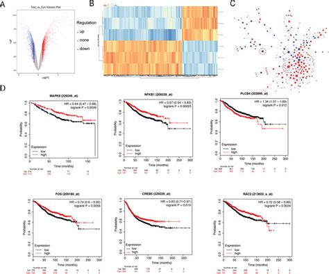 analysis of microarray data reveals distinct transcriptional profiles
