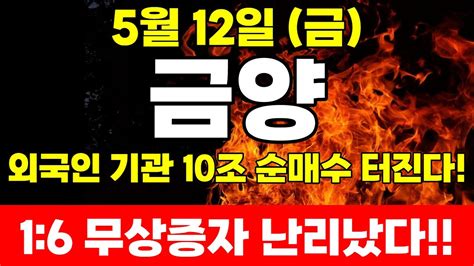 긴급속보 금양 16 무상증자 터졌다 내일 오후 3시까지 당장 매수하라 아침 시초가 부터 10연상 터진다금양 금양주가 Youtube