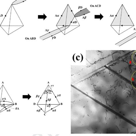 Pdf Reversible Dislocation Movement Martensitic Transformation And