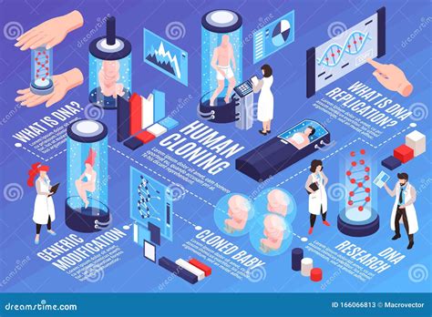 Human Cloning Horizontal Illustration Cartoon Vector CartoonDealer Com 166066813