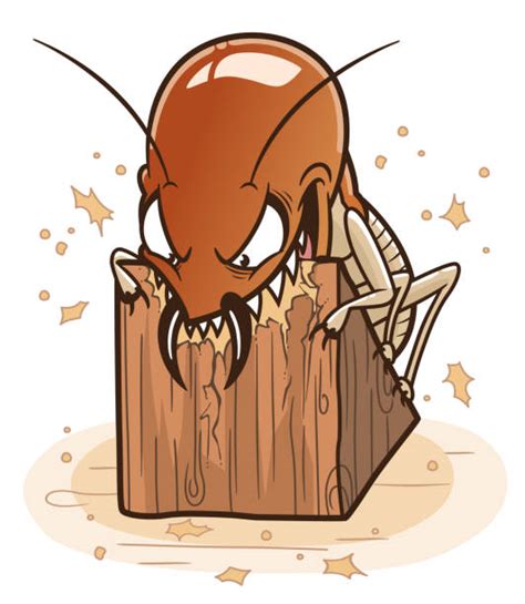 Termite Cartoon Illustrations Royalty Free Vector Graphics And Clip Art